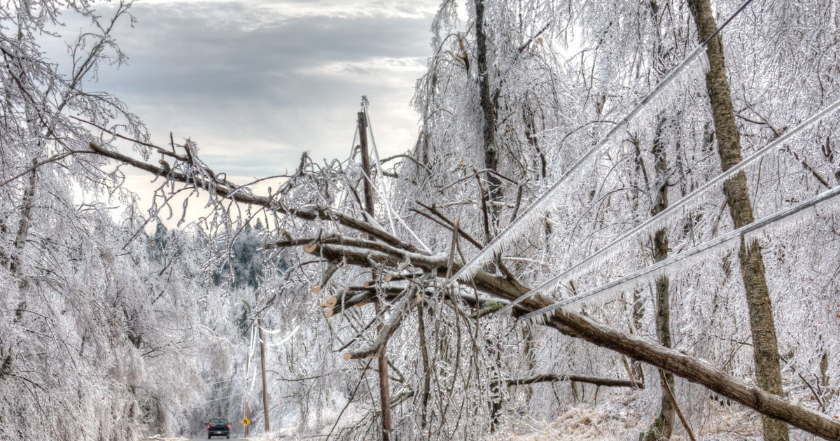 When Ice Storm Meets Restoration: The March 2025 Eastern Canada Crisis