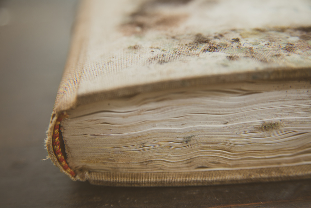 Water Damaged Paper Restoration: Saving Flooded Photos and Books|Water ...